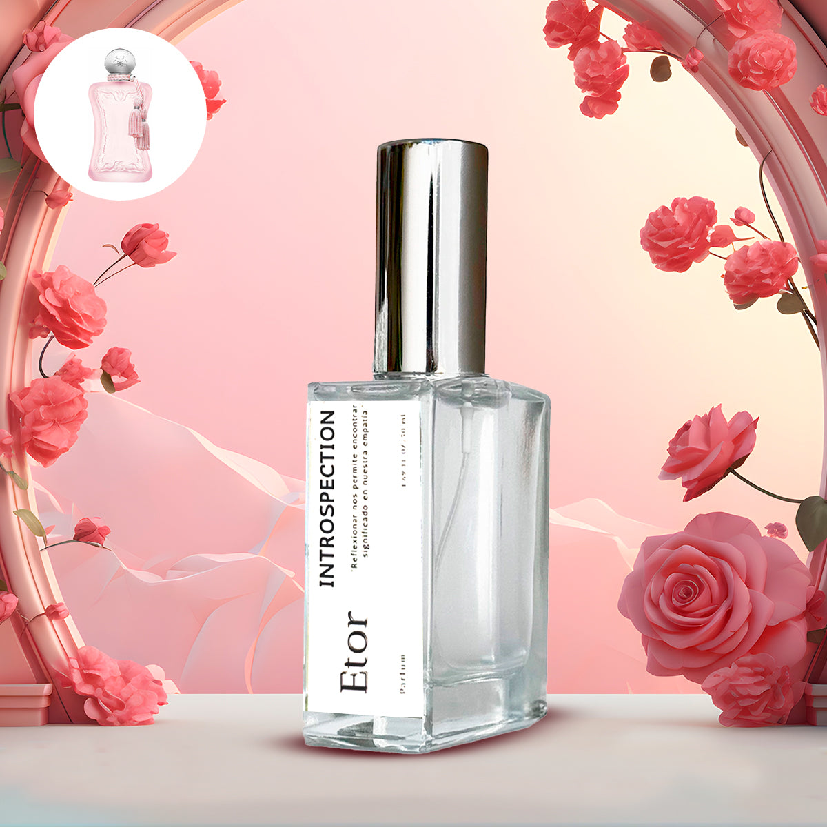 INTROSPECTION – Etor Mx